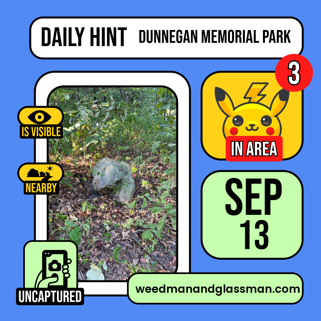 Pikachumania Clue #5 | Dunnegan Memorial Park 9/13/2024